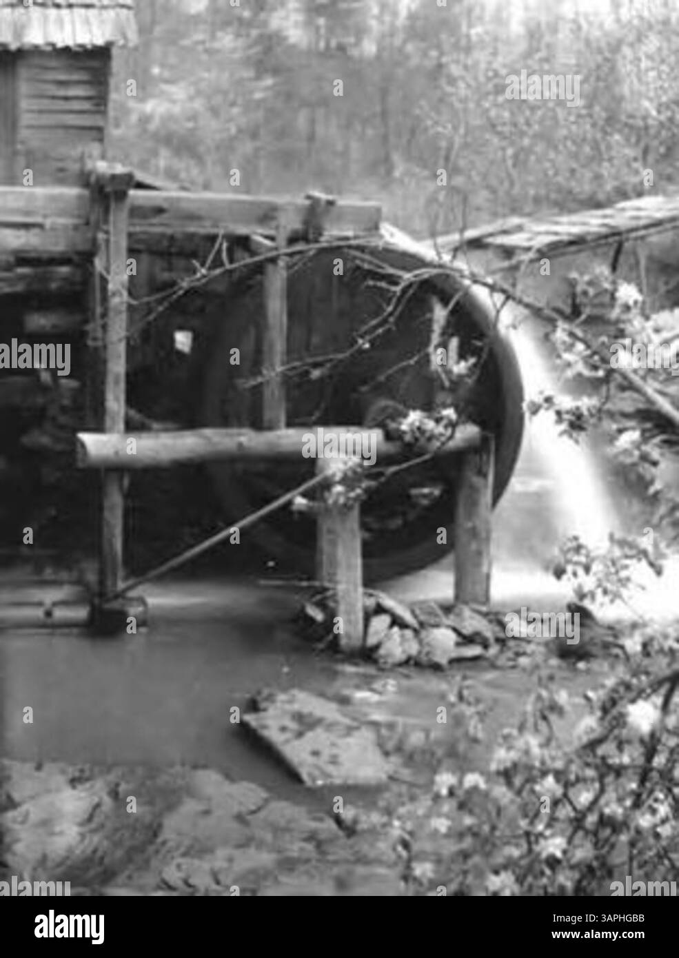 This photograph shows the mill of John Alexander Meadows, located in ...