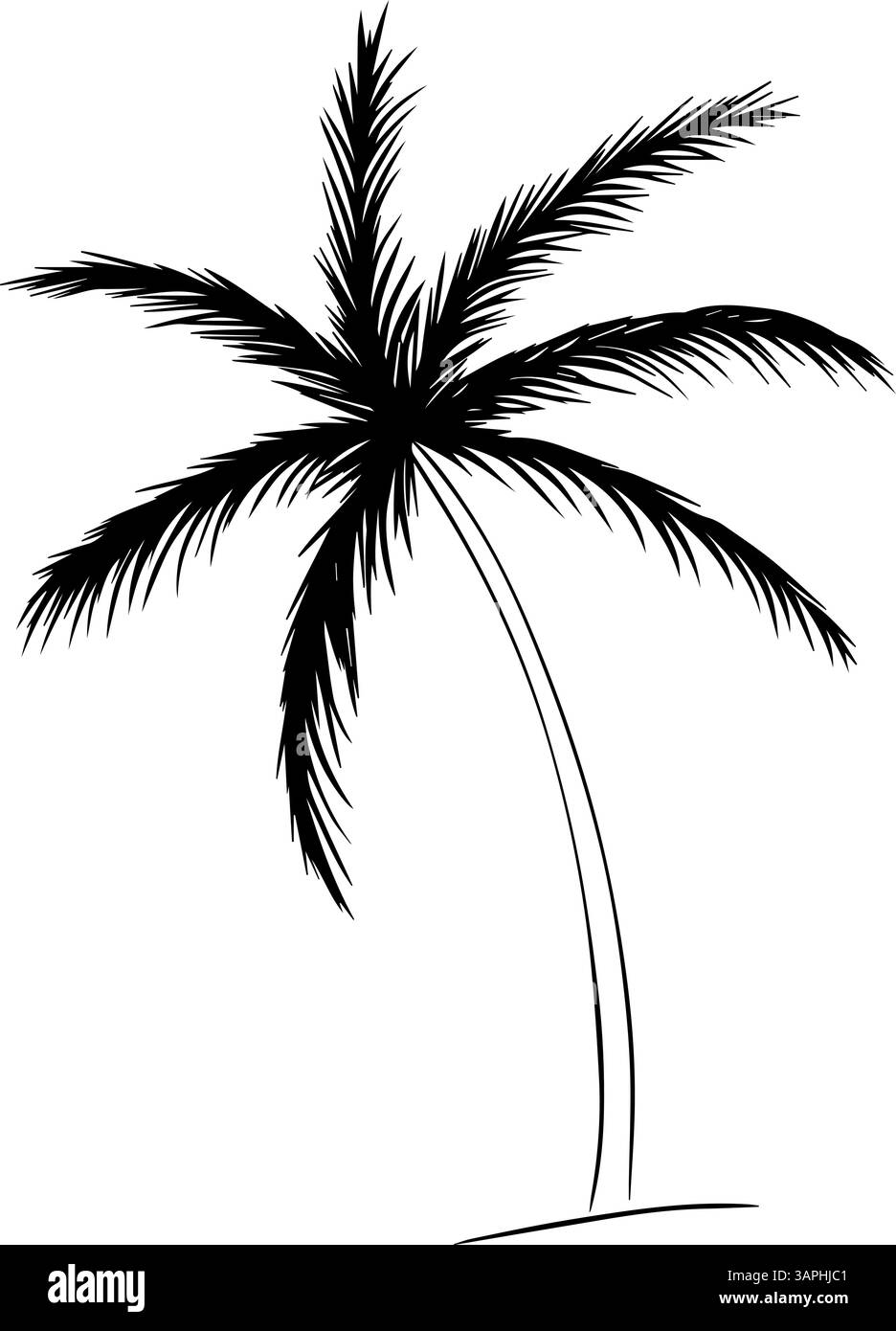 single palm tree with jagged leaves black silhouette of a and a slender trunk on a white ...