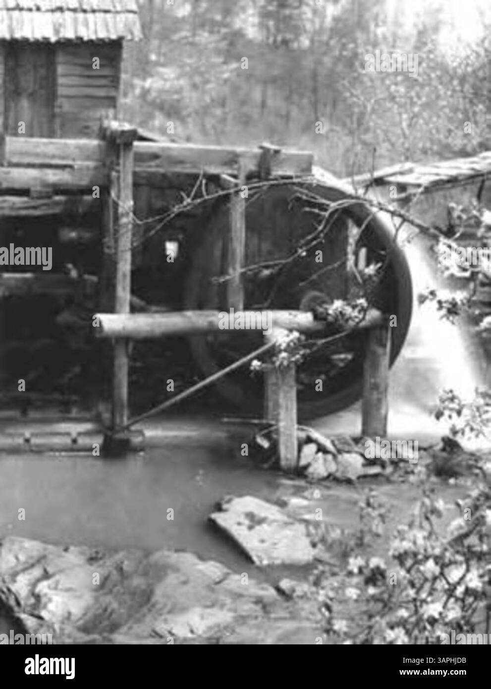 The photograph of the Mill of John Alexander Meadows provides a ...