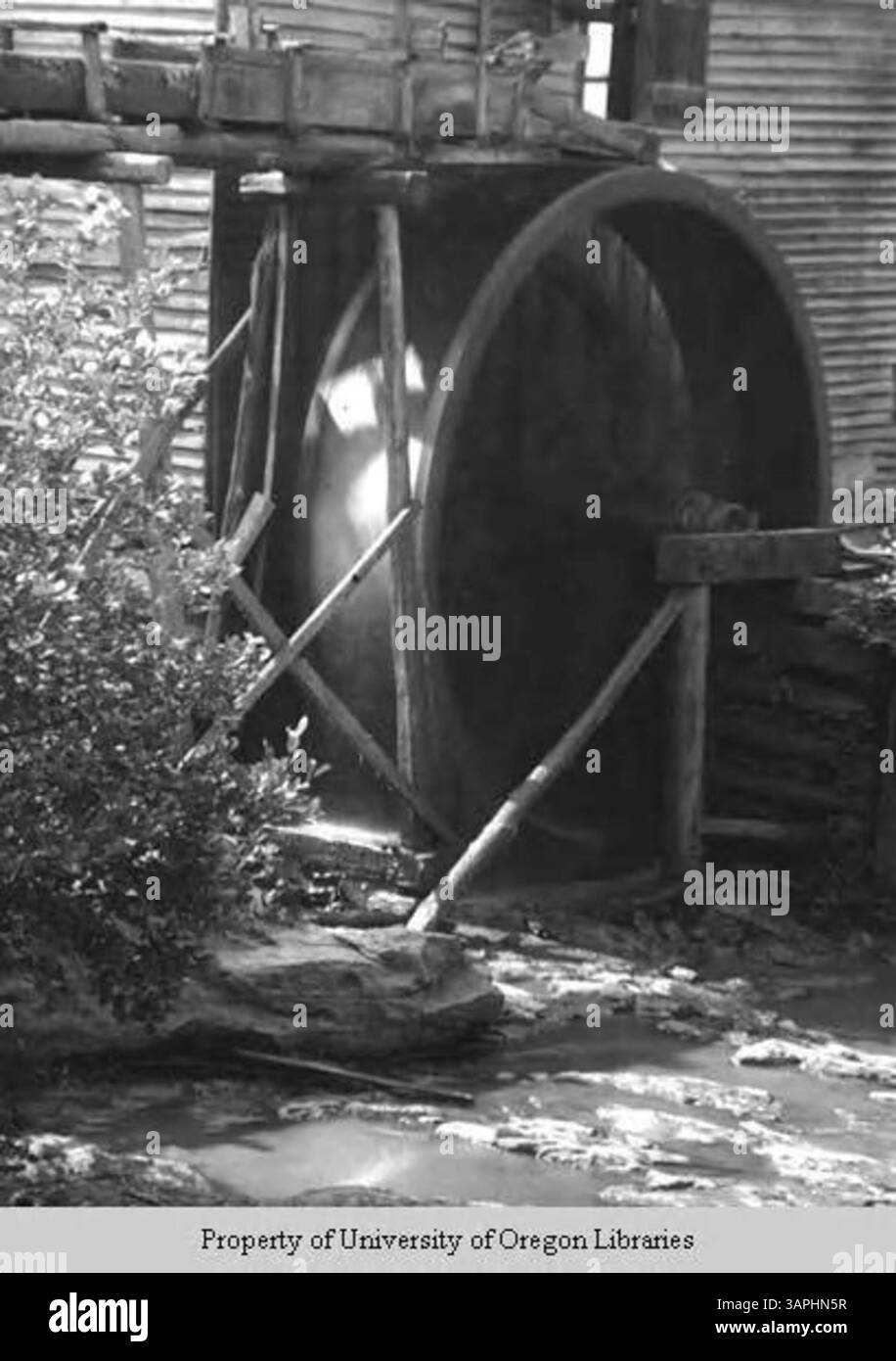 A historical image of the mill owned by John Alexander Meadows, held in ...