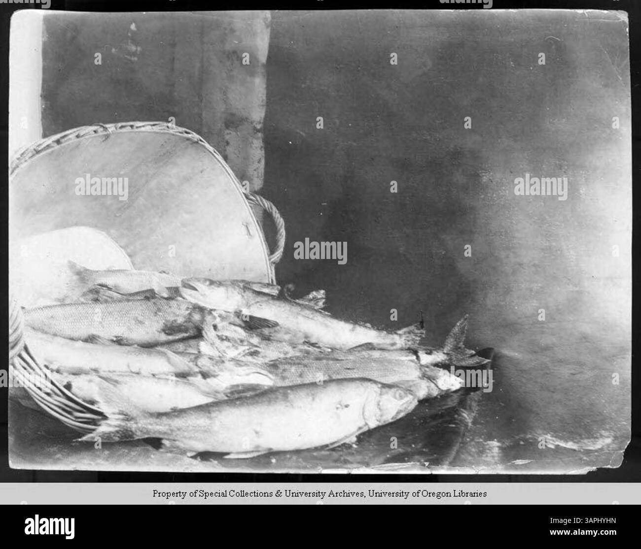 This black and white photograph by Florence M. Hartshorn shows a pile ...