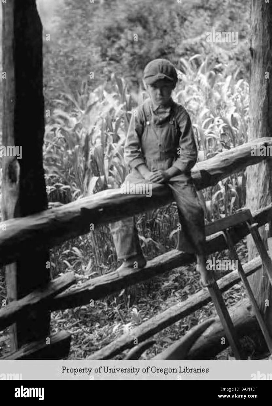 Photograph of a child from the Doris Ulmann collection, capturing a ...