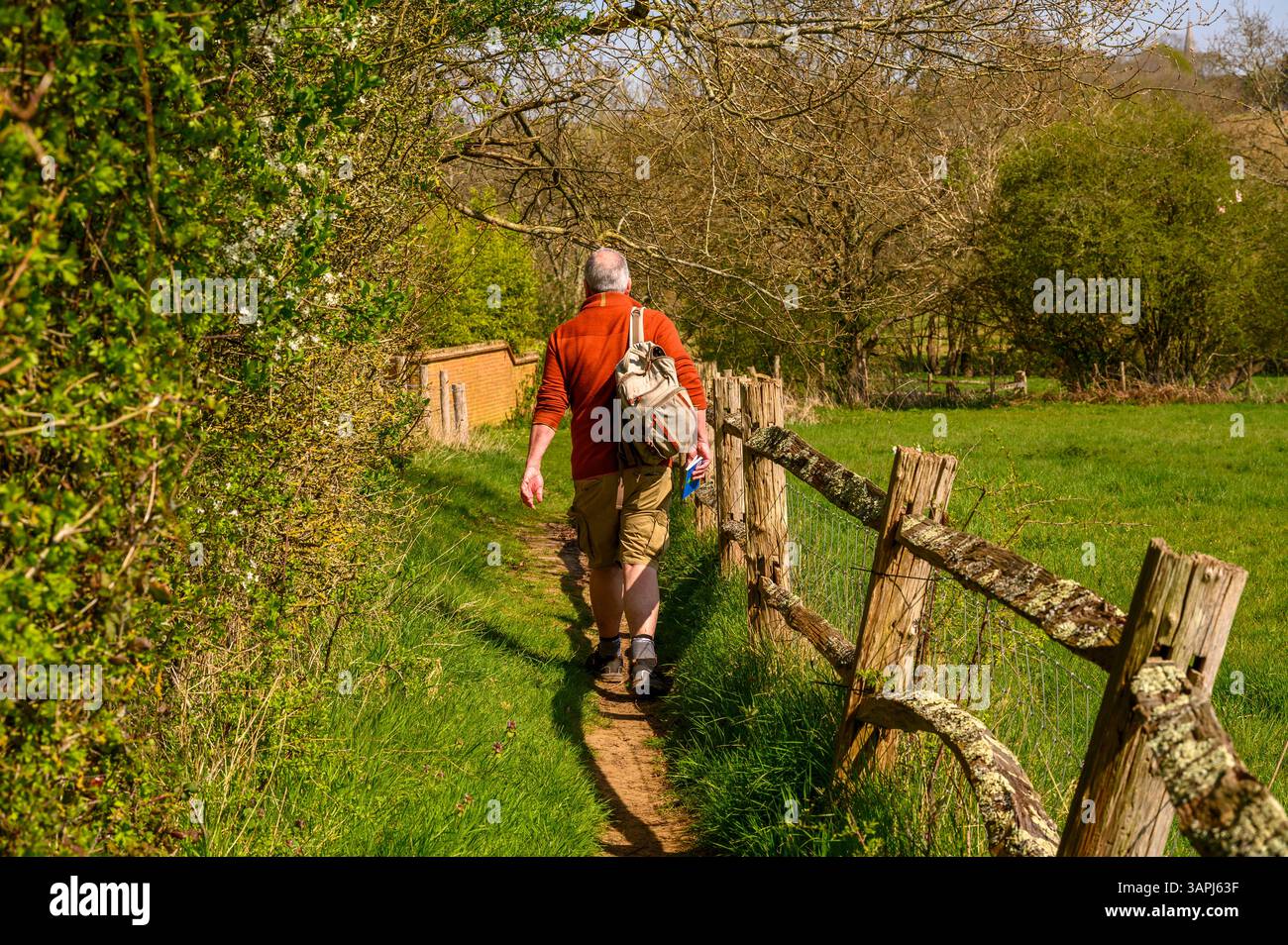 A man walks on a footpath between a hedge and a fenced field in the ...