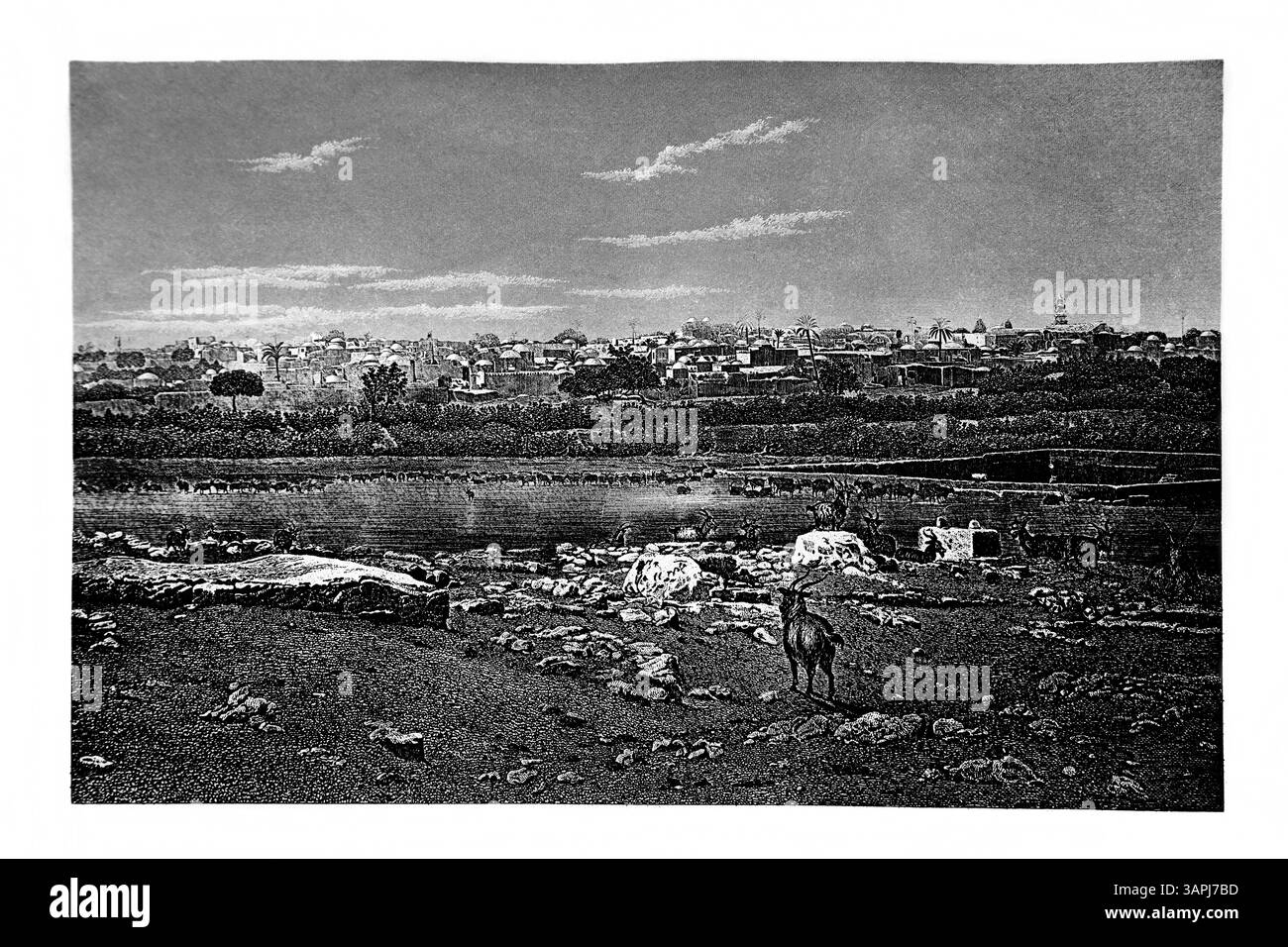 Engraving of the Biblical City Ramleh engraved by J.Brodie from Antique ...