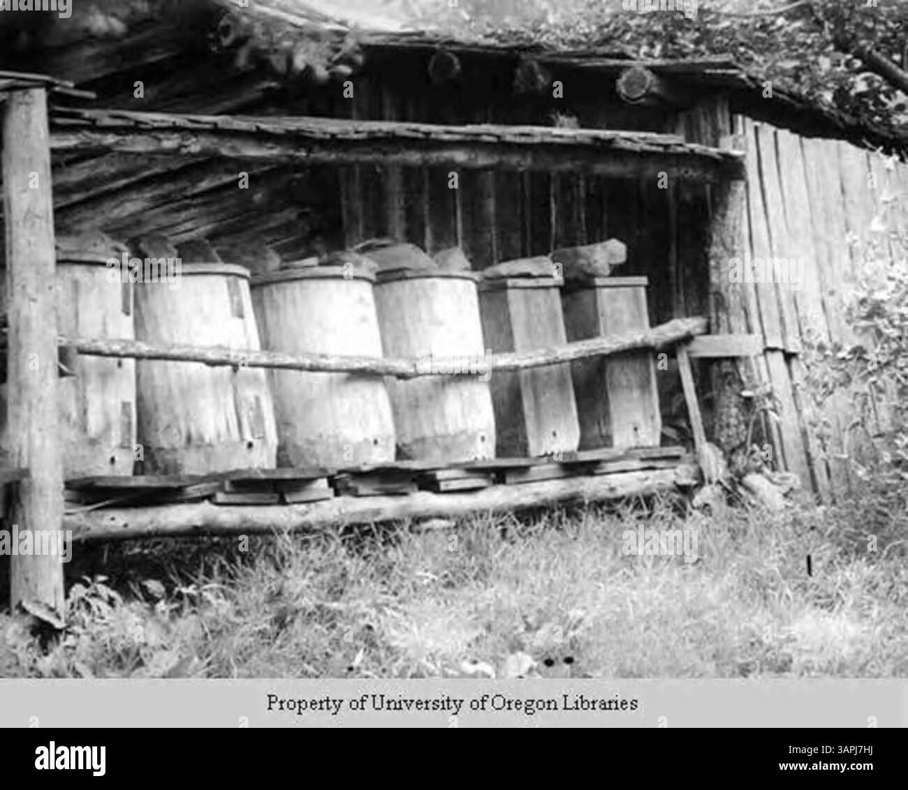 Bee hives are depicted, showcasing a rural agricultural scene common in ...