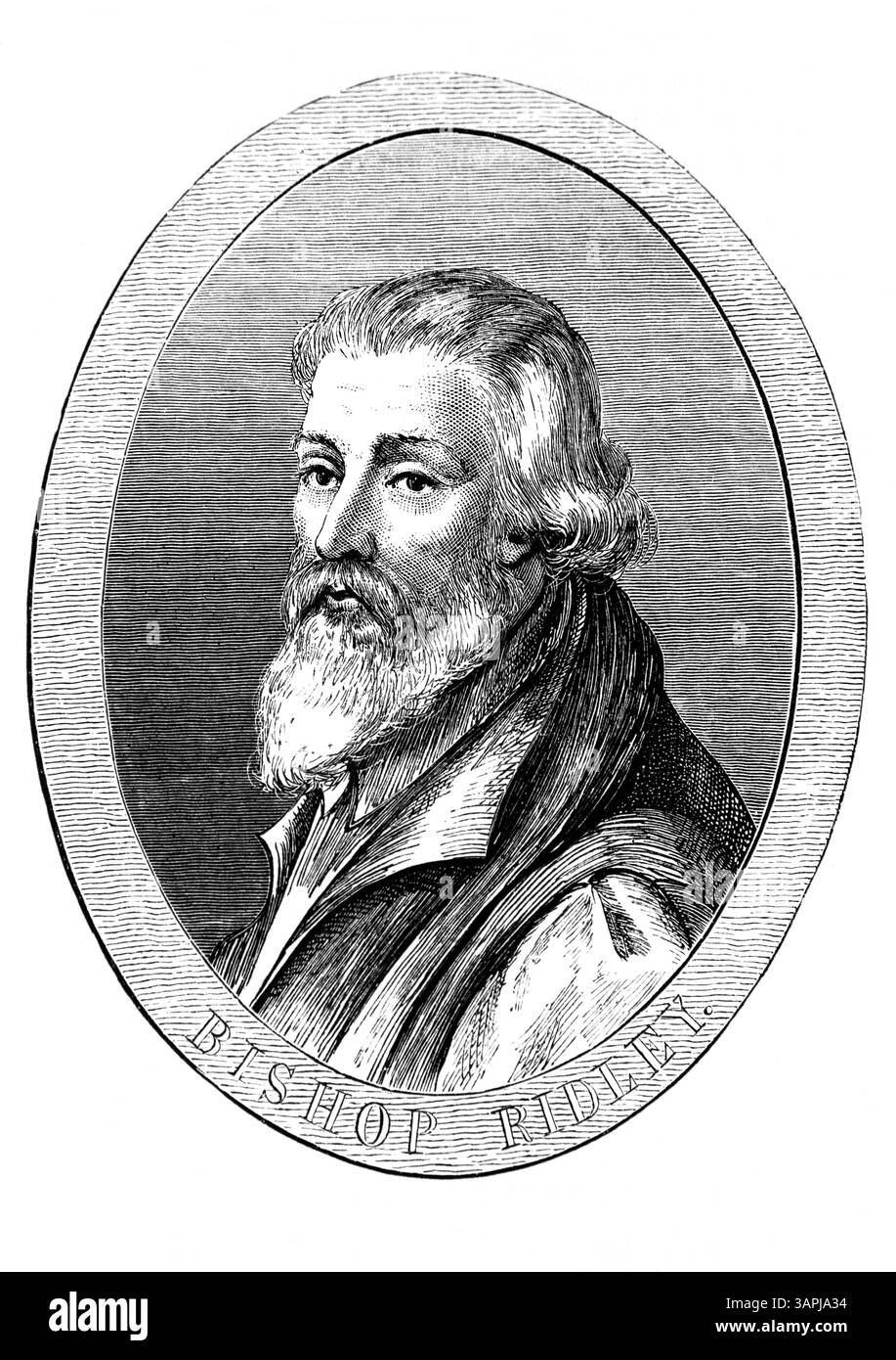 Illustration of a Portrait of Bishop Nicholas Ridley one of the Oxford ...
