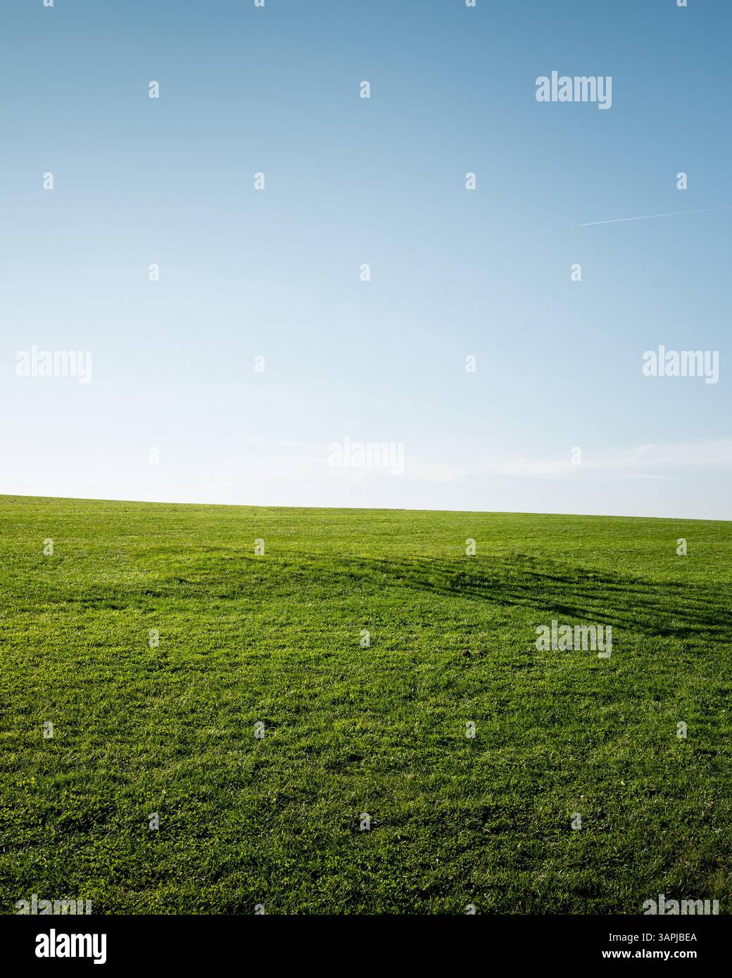 Green field and blue sky. Lawn with short grass on a small hill, sun ...