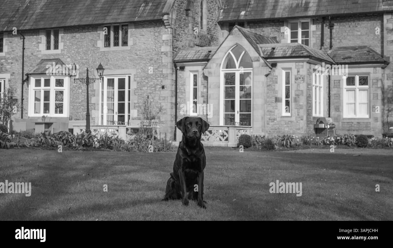 Posing outside her Black and White Stock Photos & Images - Alamy