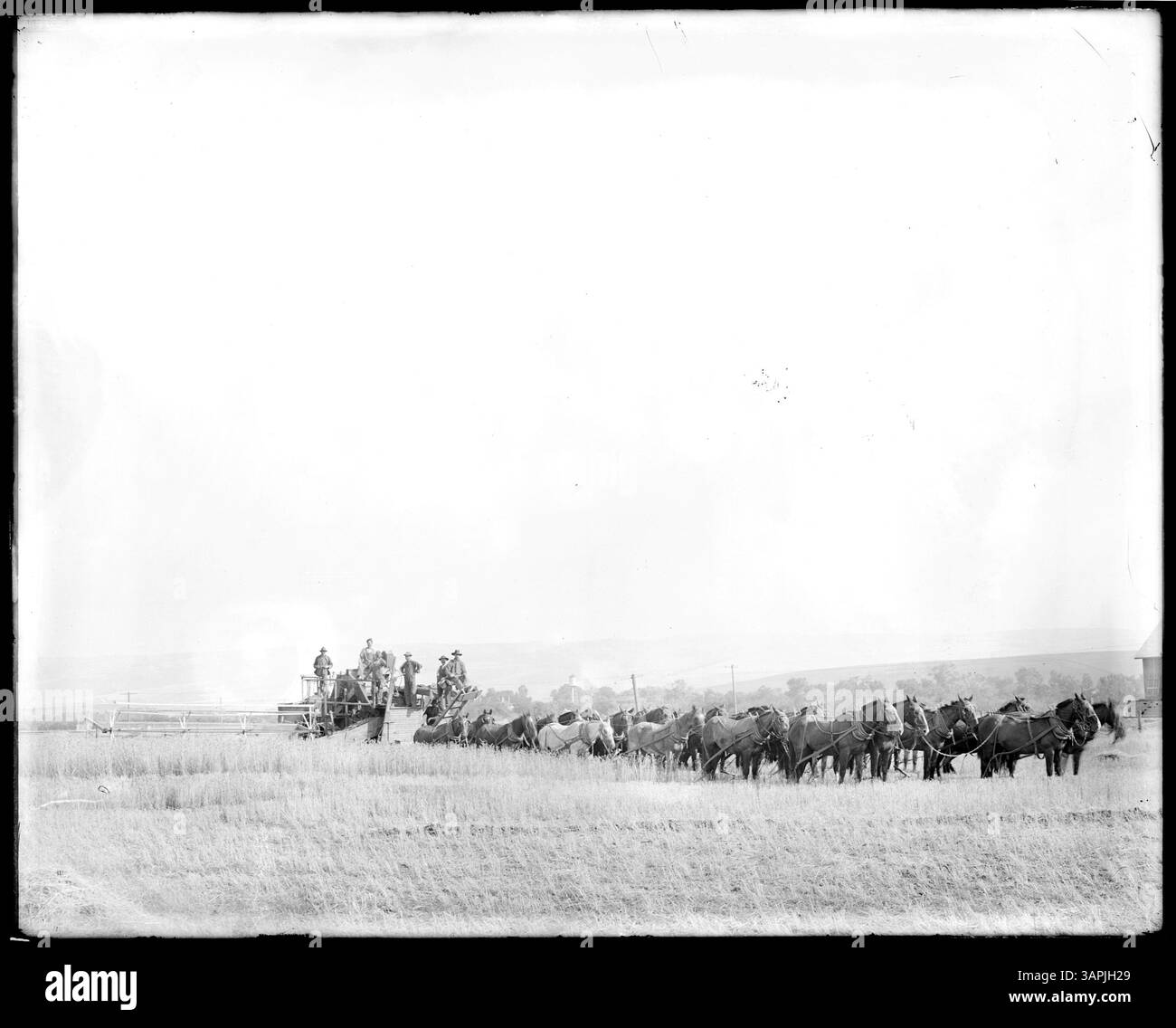 A photograph from the Lee Moorhouse collection showing a horse-drawn ...