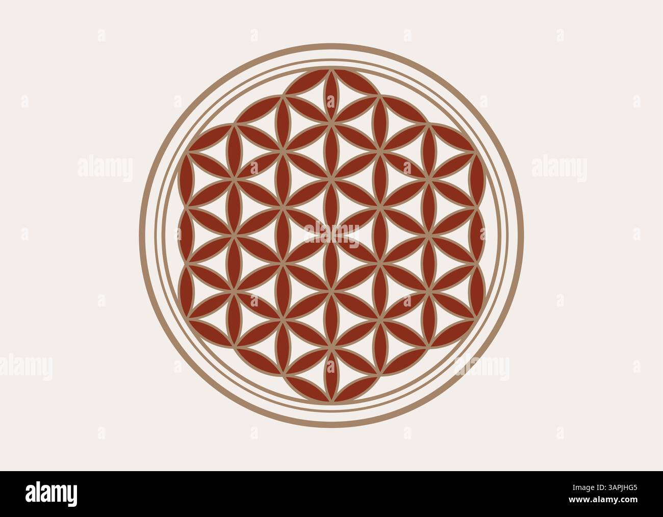 Flower of Life, Yantra Mandala seed of life, Sacred Geometry, symbol of ...