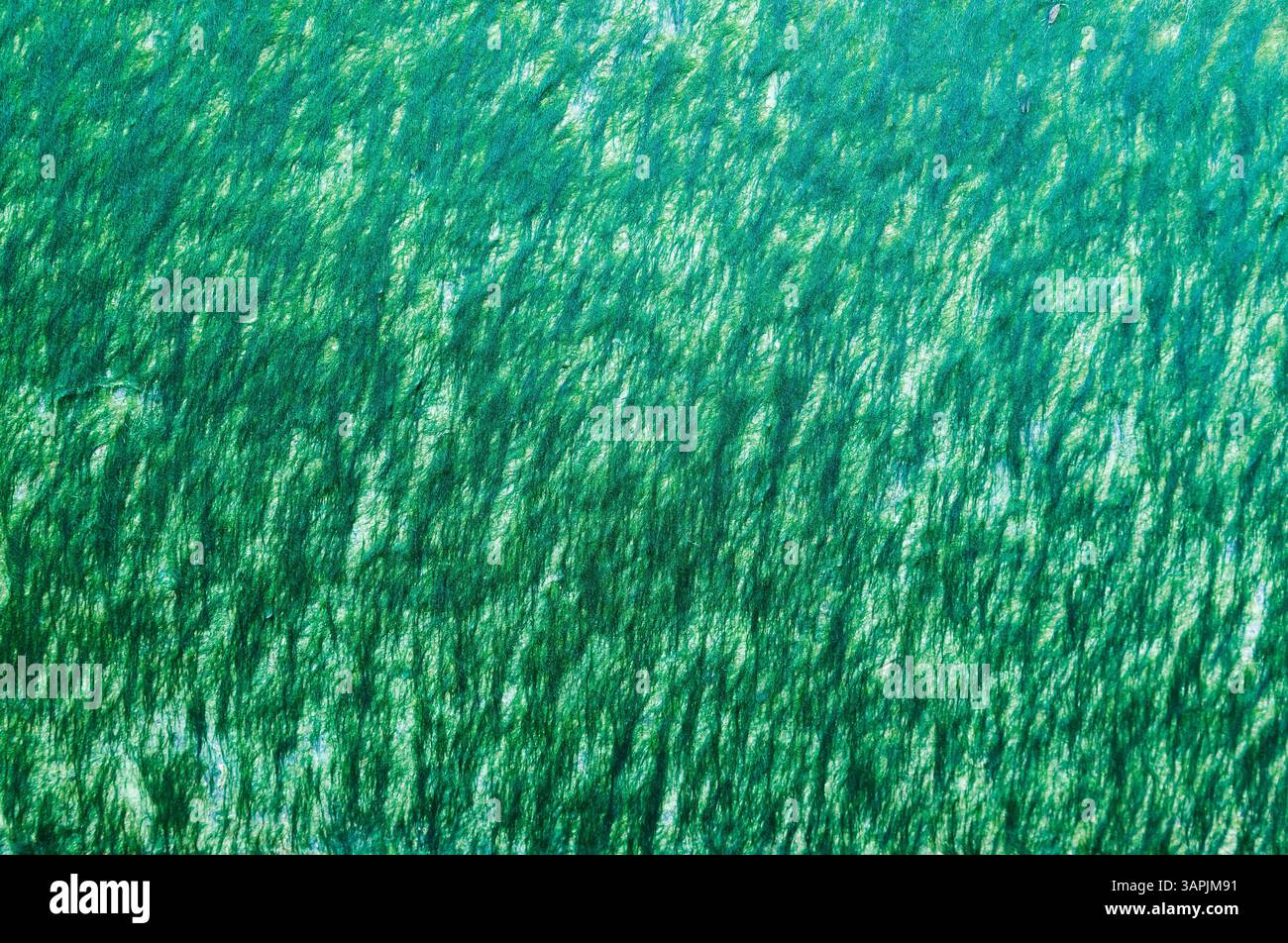 Green dry algae on the hull of a yacht close-up Stock Photo - Alamy
