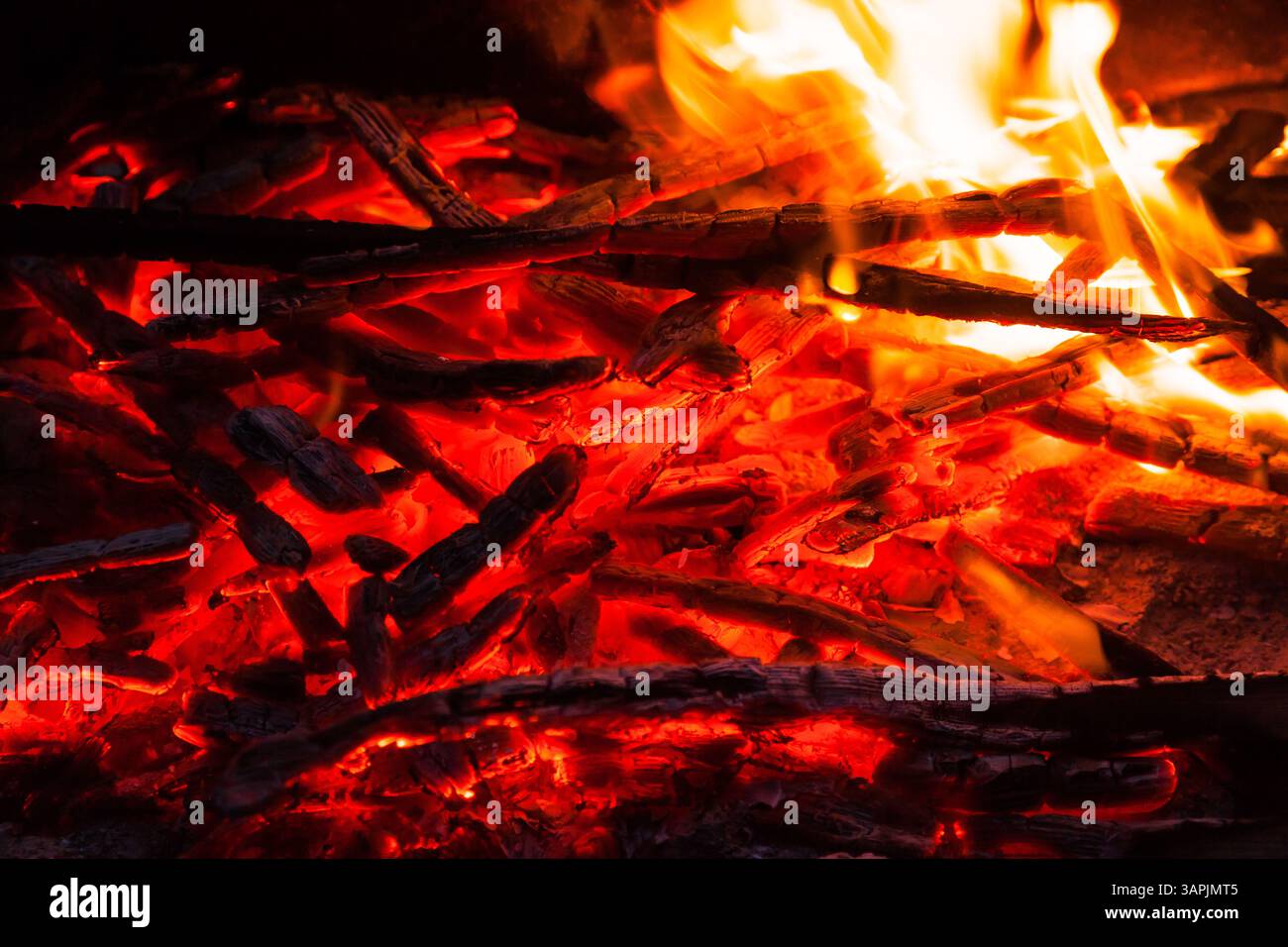 Bonfire is burning, close-up. The firewood is on fire. Bright fire ...