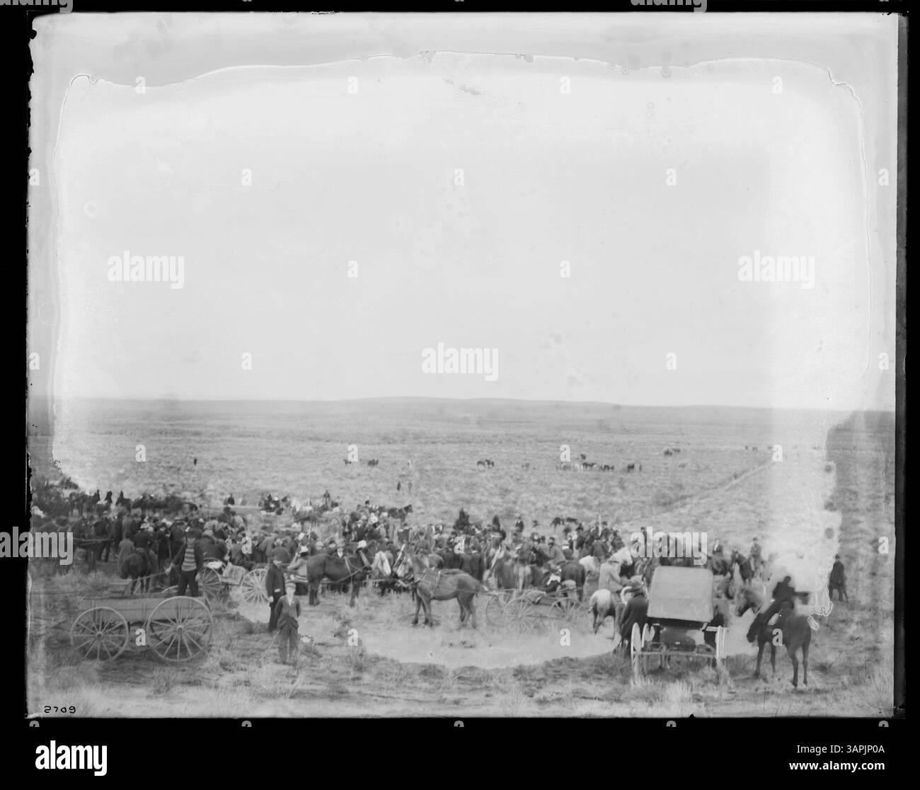 This photograph shows the end of a rabbit drive on Blalock Island, with ...