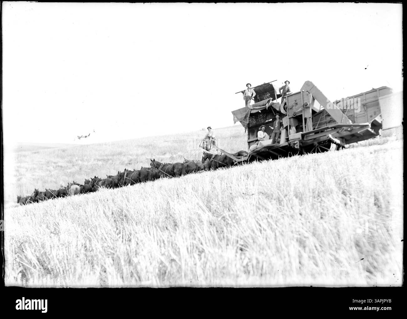 This photograph, *PH036 0219*, by Lee Moorhouse shows a horse-drawn ...
