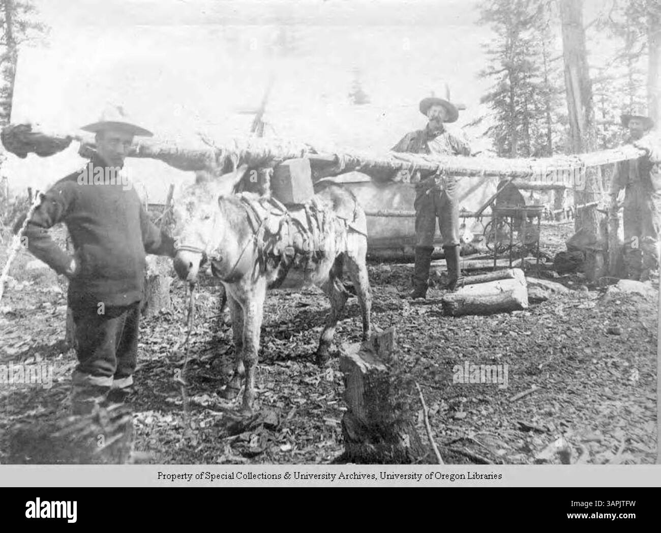 This black and white photograph by Florence M. Hartshorn depicts three ...