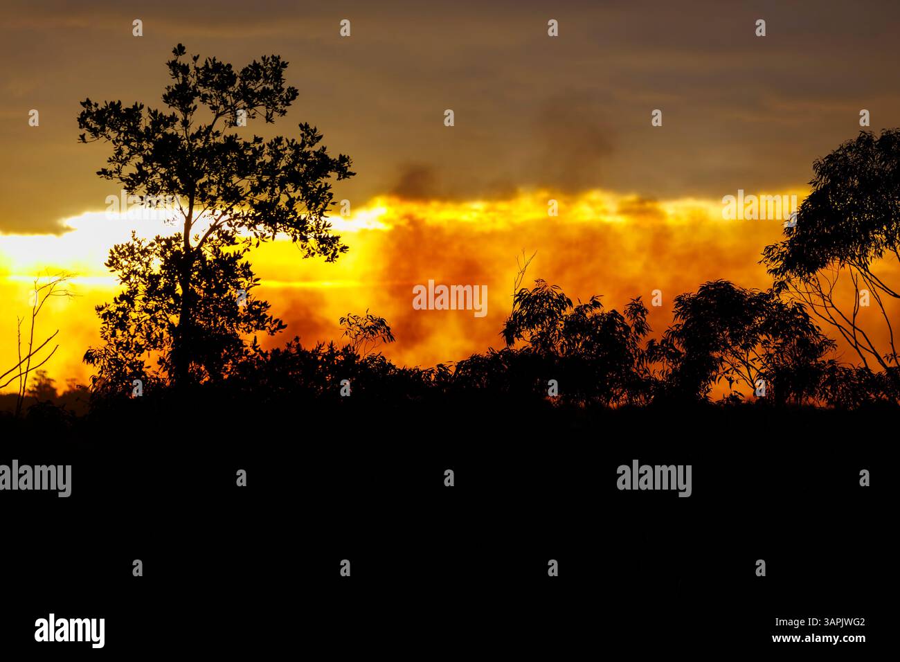Photograph of controlled hazard reduction burning by the Rural Fire ...