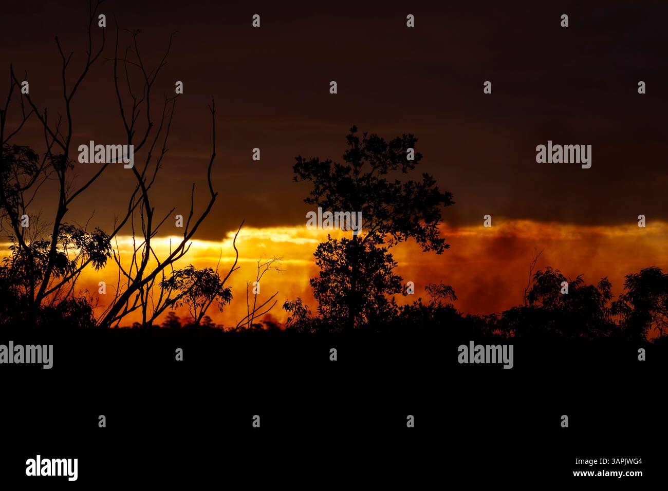 Photograph of controlled hazard reduction burning by the Rural Fire ...
