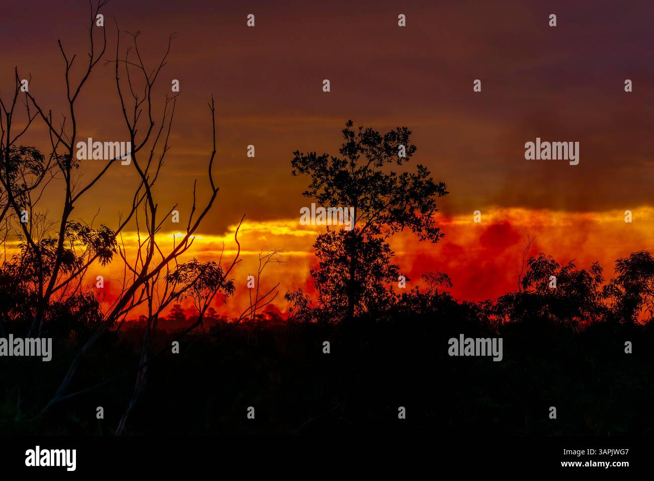 Photograph of controlled hazard reduction burning by the Rural Fire ...