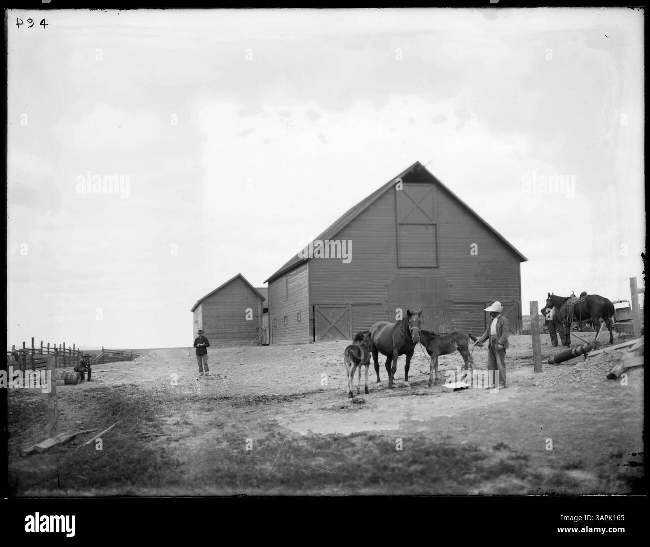This photograph by Lee Moorhouse shows J. Crowe's ranch, featuring ...