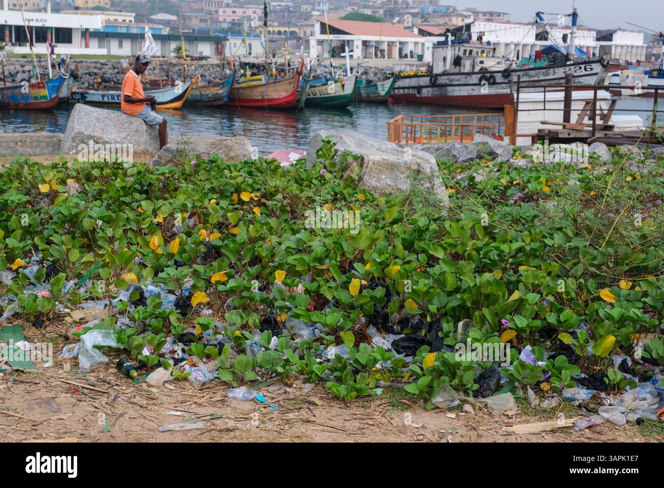 Ghana, Elmina. Plastic Waste Mixed among Vegetation Lining Entrance to ...