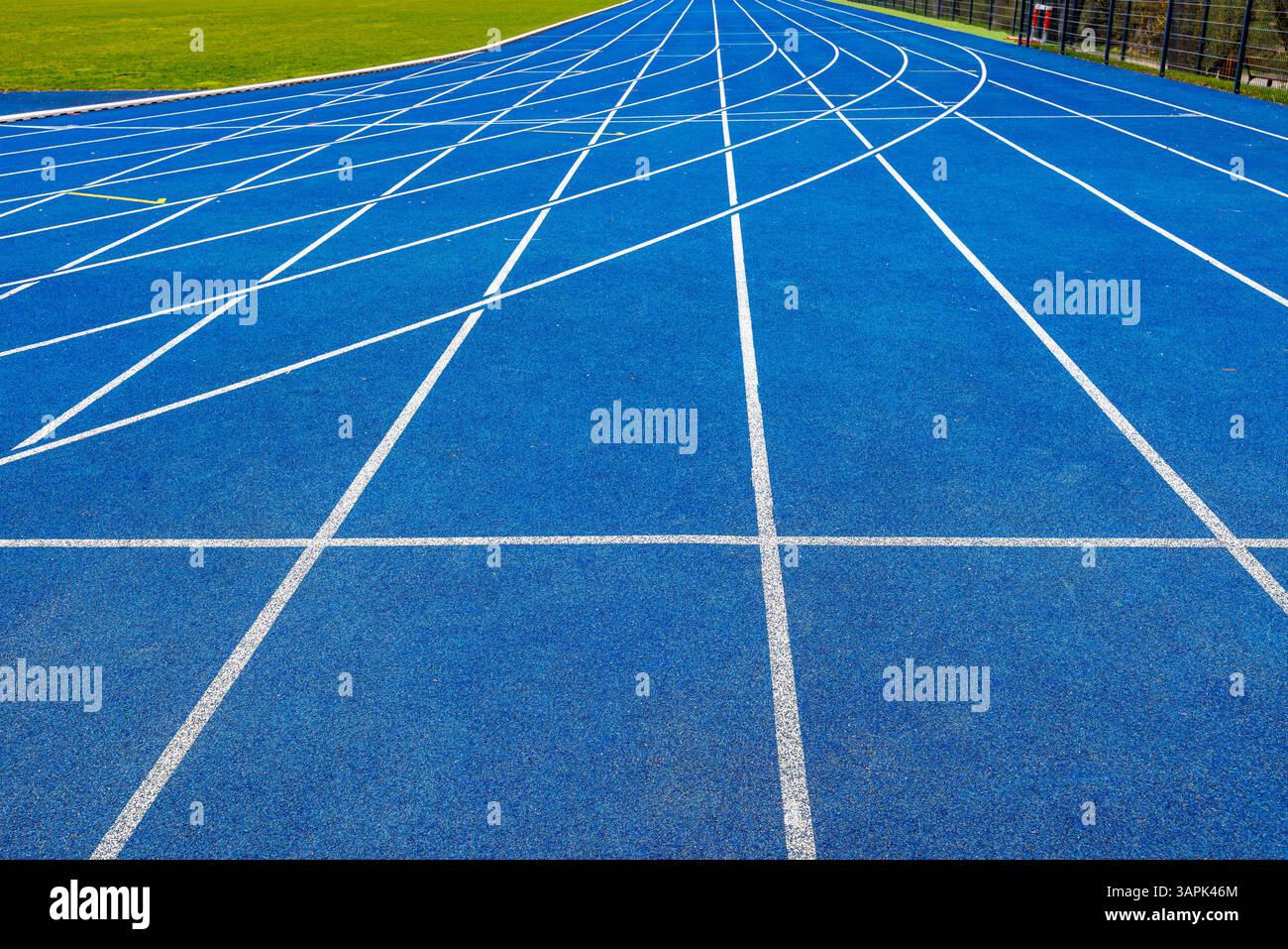 Blue running track at the city stadium, next to white markings ...