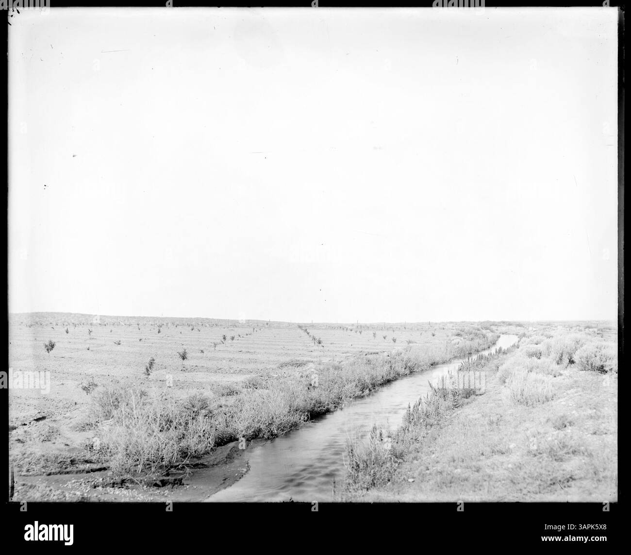 This photograph captures a cornfield and young orchard with an ...