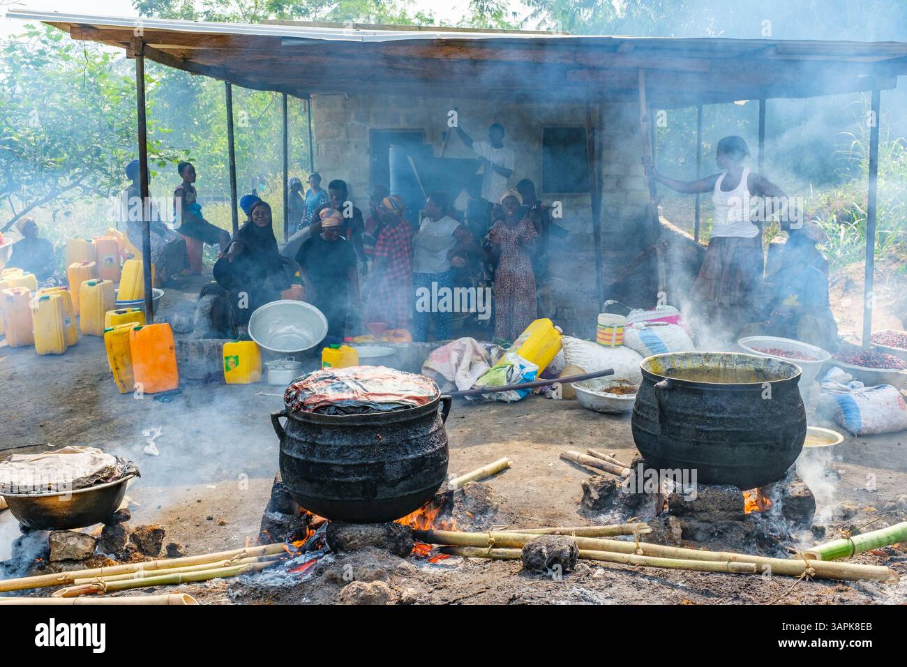 Ghana, north of Elmina. Village Making Palm Oil. Boiling fruits in vats ...