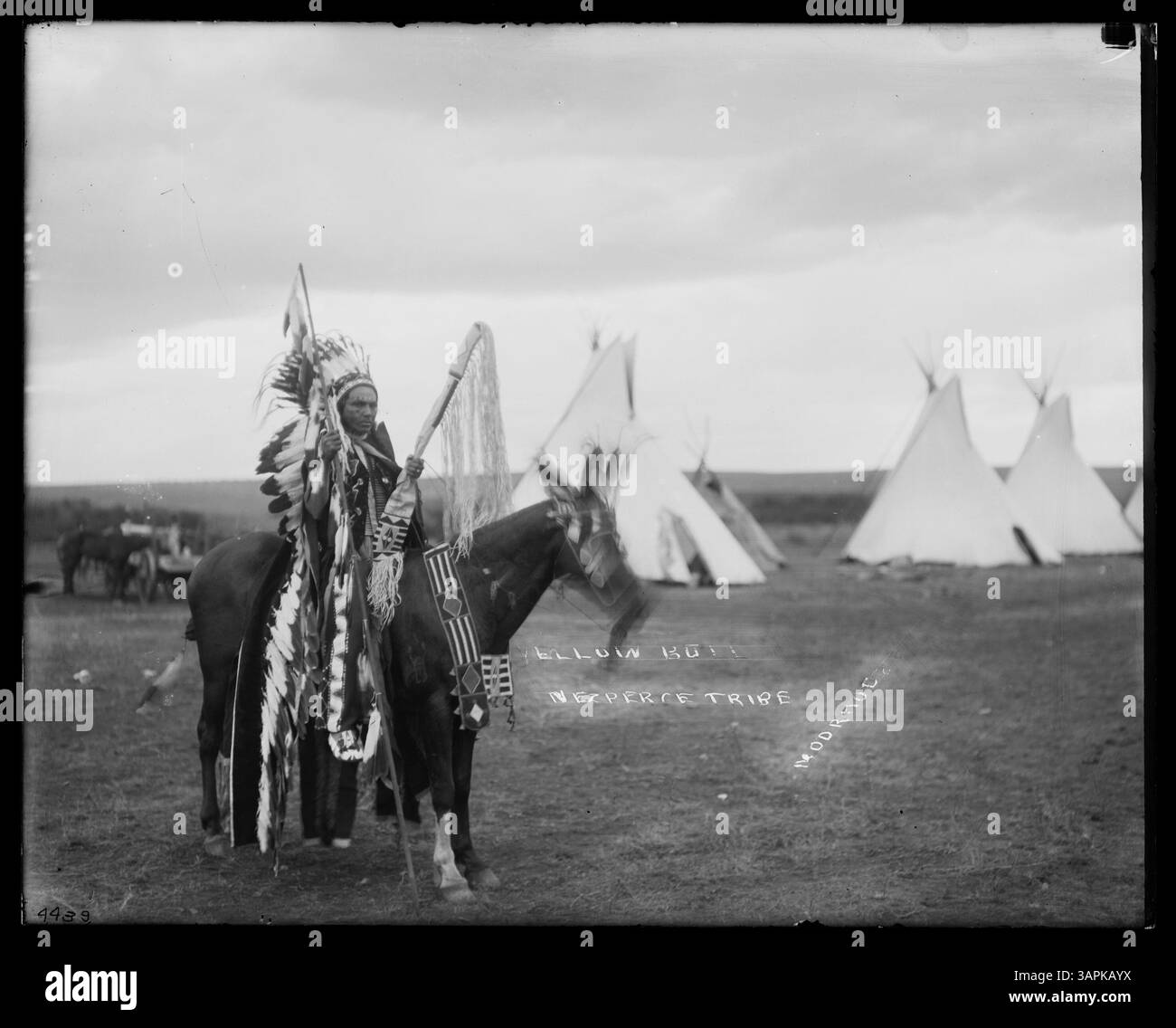 Nez perce indian horse hi-res stock photography and images - Alamy
