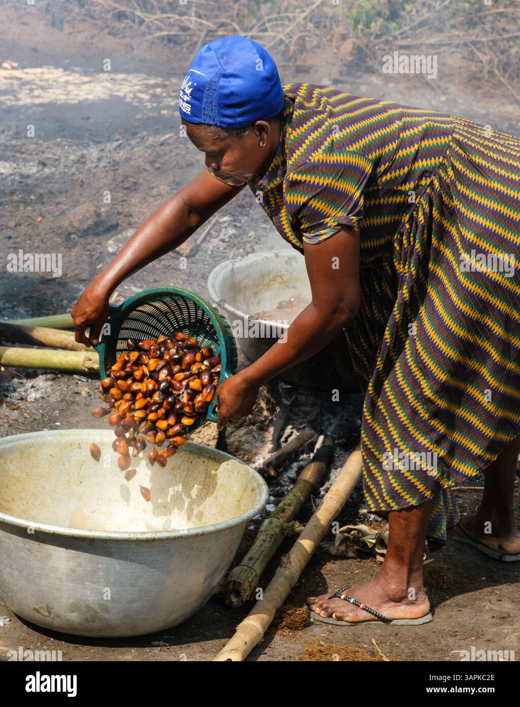 Ghana, north of Elmina. Village Making Palm Oil. Woman Pouring Boiled ...