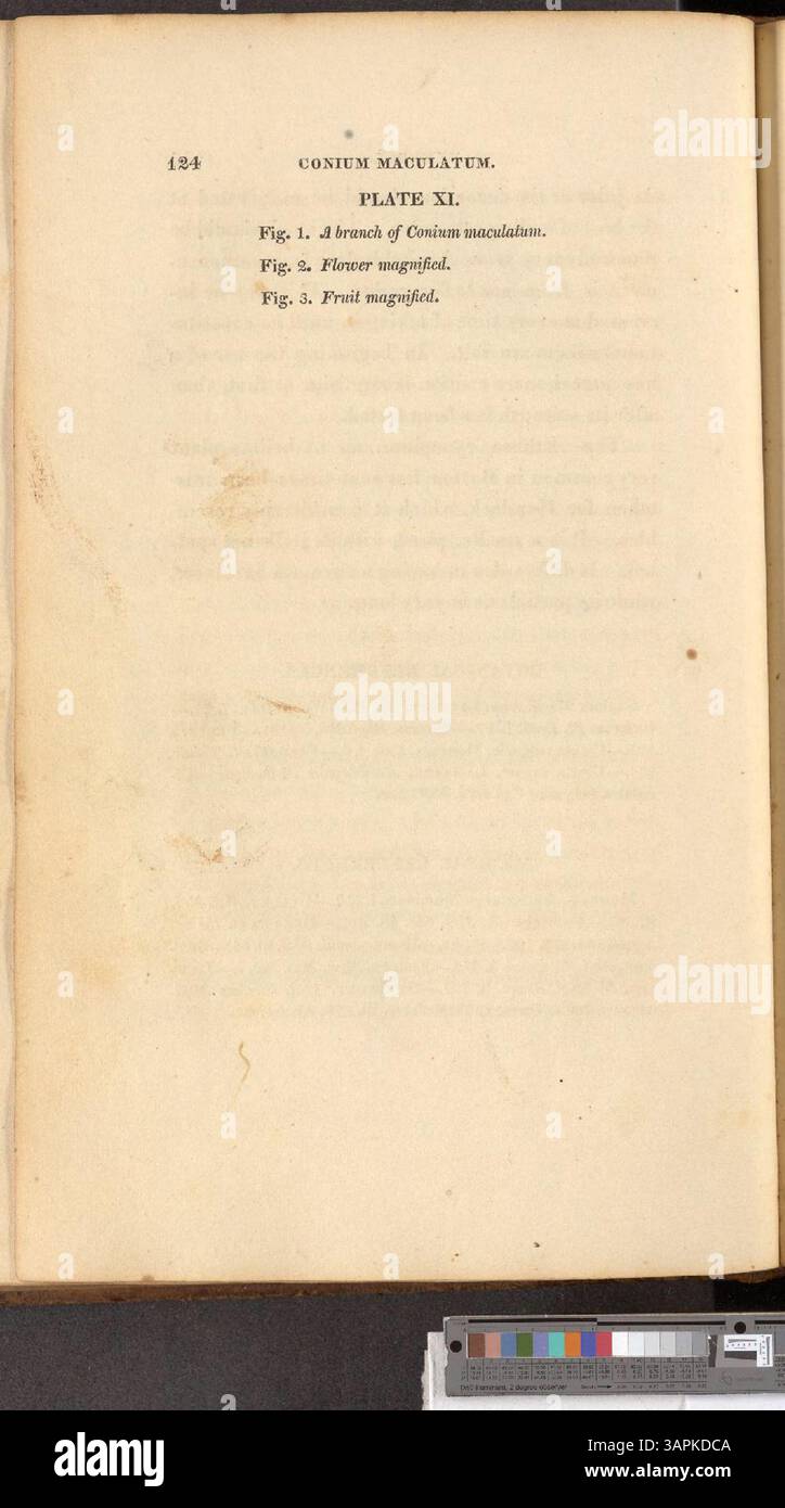 'American Medical Botany' features native U.S. medicinal plants with ...