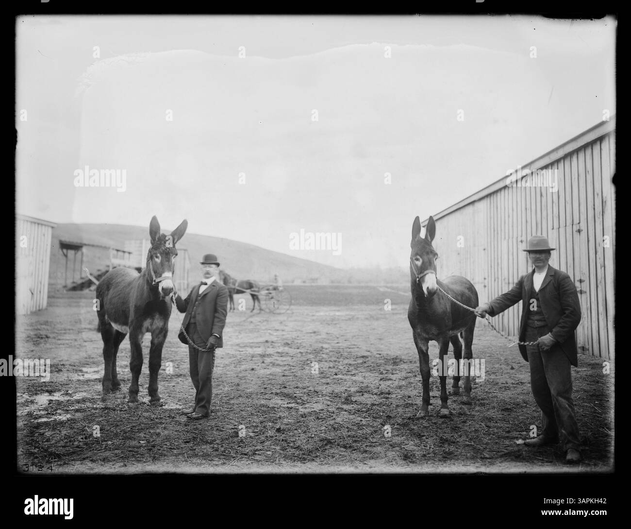 This photograph, part of the University of Oregon Libraries collection ...