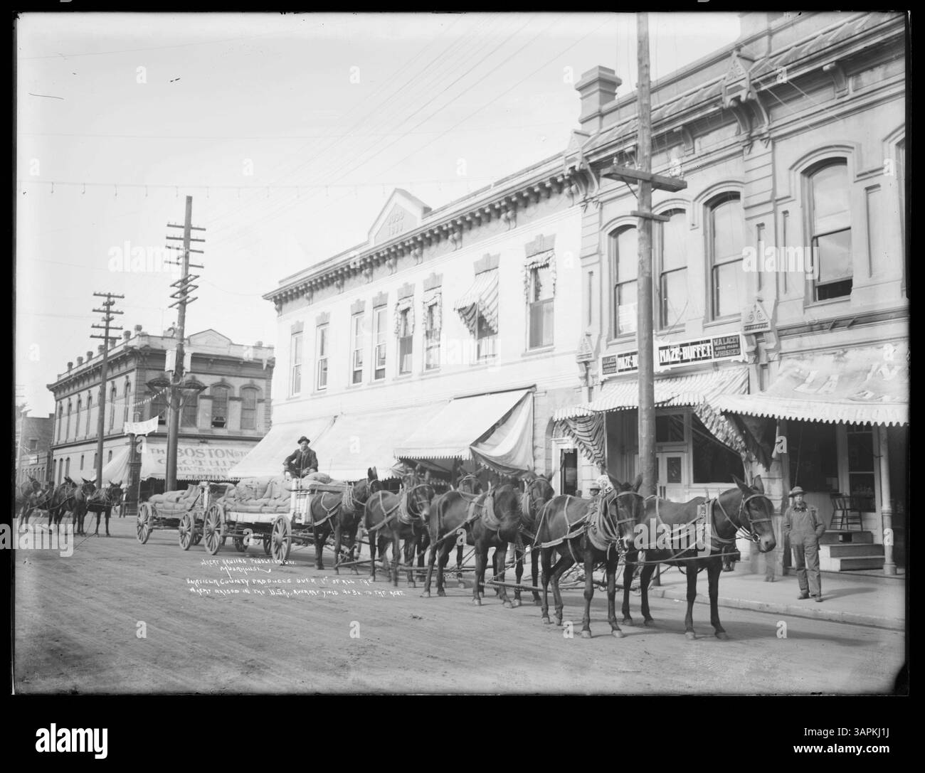 This photograph by Lee Moorhouse shows a train of tandem wagons loaded ...