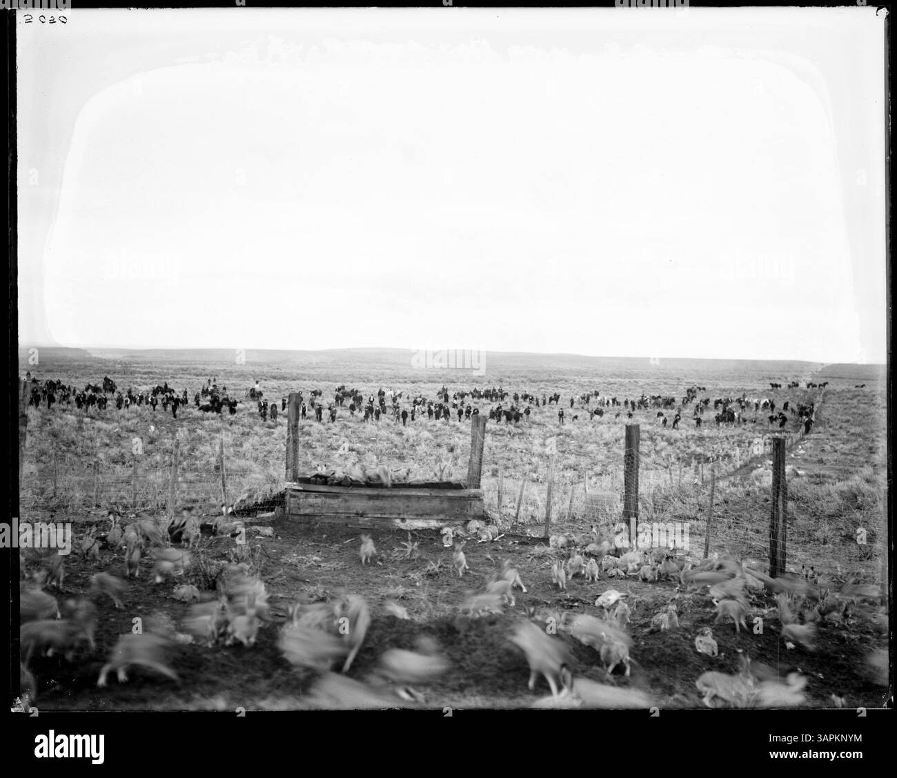 Blalock island history hi-res stock photography and images - Alamy