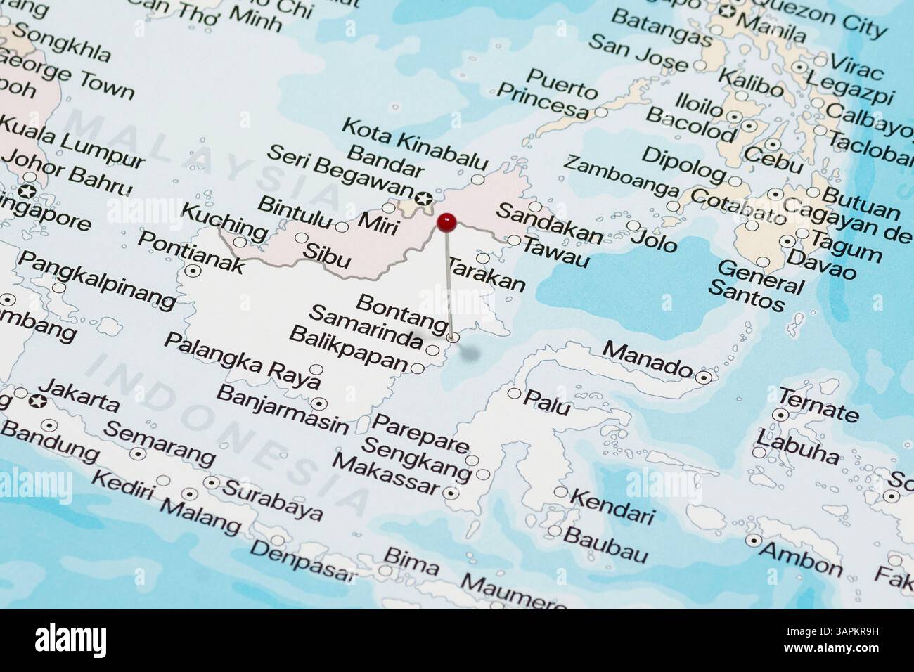 macro photo of a red pin needle into bontang city of Indonesia ...