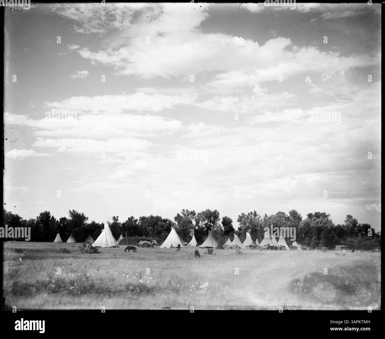 Photograph showing camps on the Umatilla Indian Reservation ...