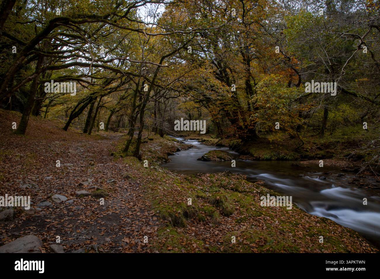 a view of the river Walkham in Devon headed towards double waters where ...