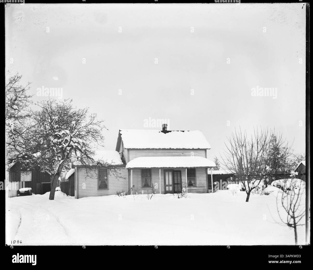 This photograph from 1896 shows homes in Hood River, Oregon, capturing ...