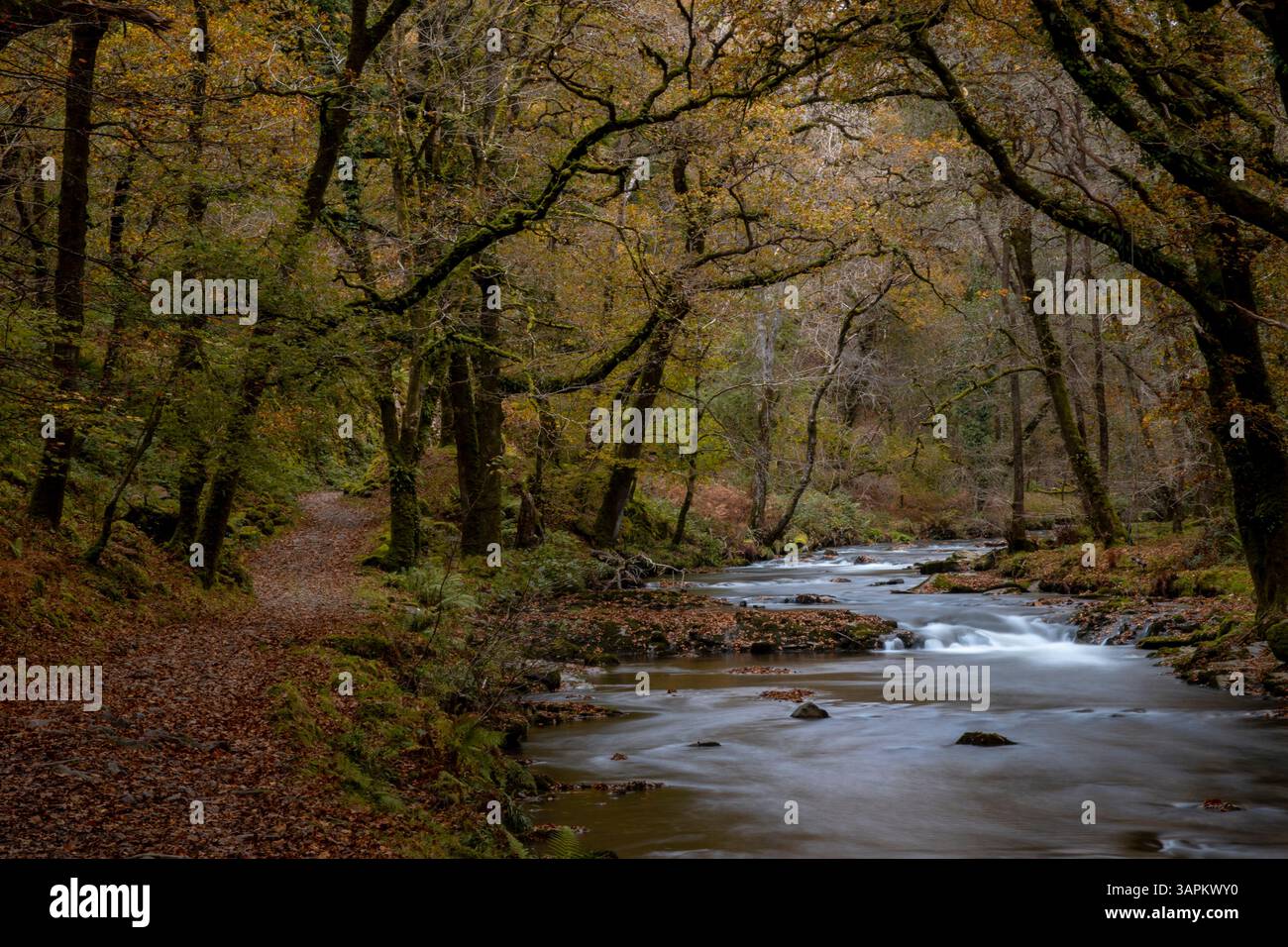 a view of the river Walkham in Devon headed towards double waters where it will meet the river ...