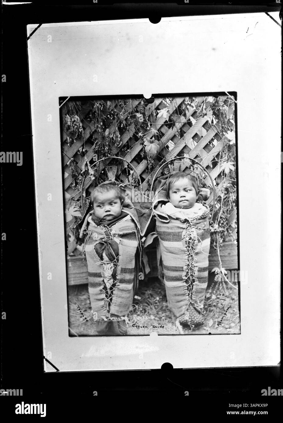 This image from Lee Moorhouse's collection shows Cayuse twins, captured ...