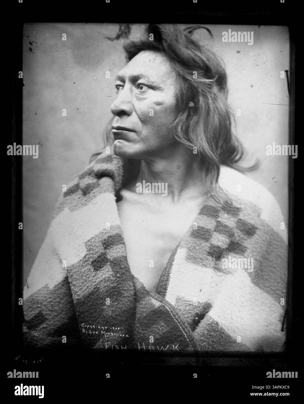 Chief fish hawk hi-res stock photography and images - Alamy