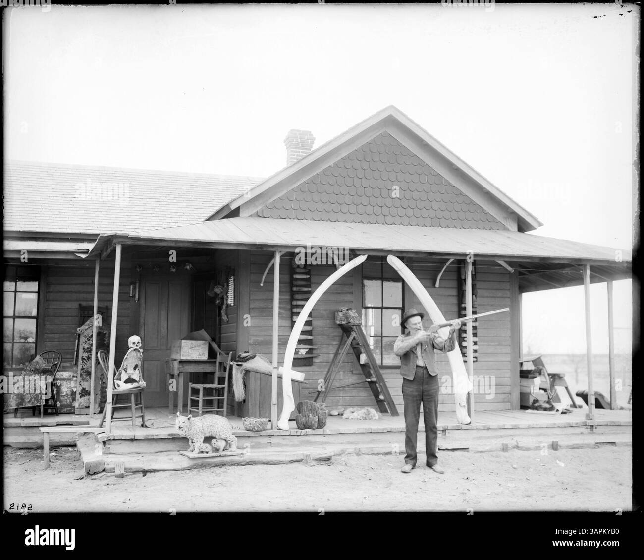 This image by Lee Moorhouse captures the Kennewick Animal Museum and ...