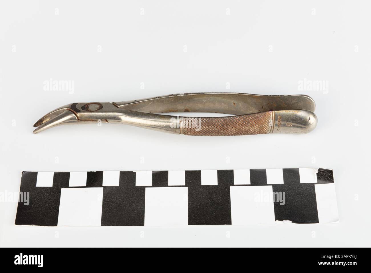 These dental extraction forceps were used by Dr. Ivan C. James, Sr., a ...