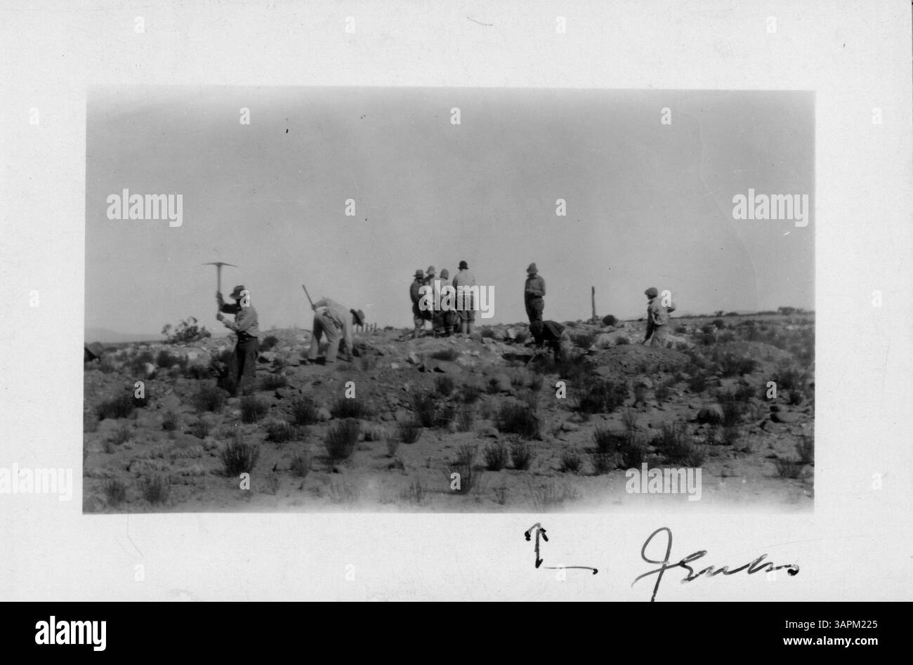 Work features natural history Black and White Stock Photos & Images - Alamy