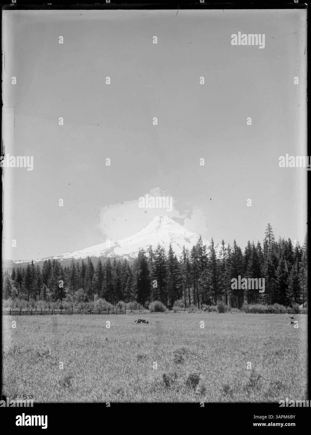 This photograph, part of the Lee Moorhouse collection at the University ...