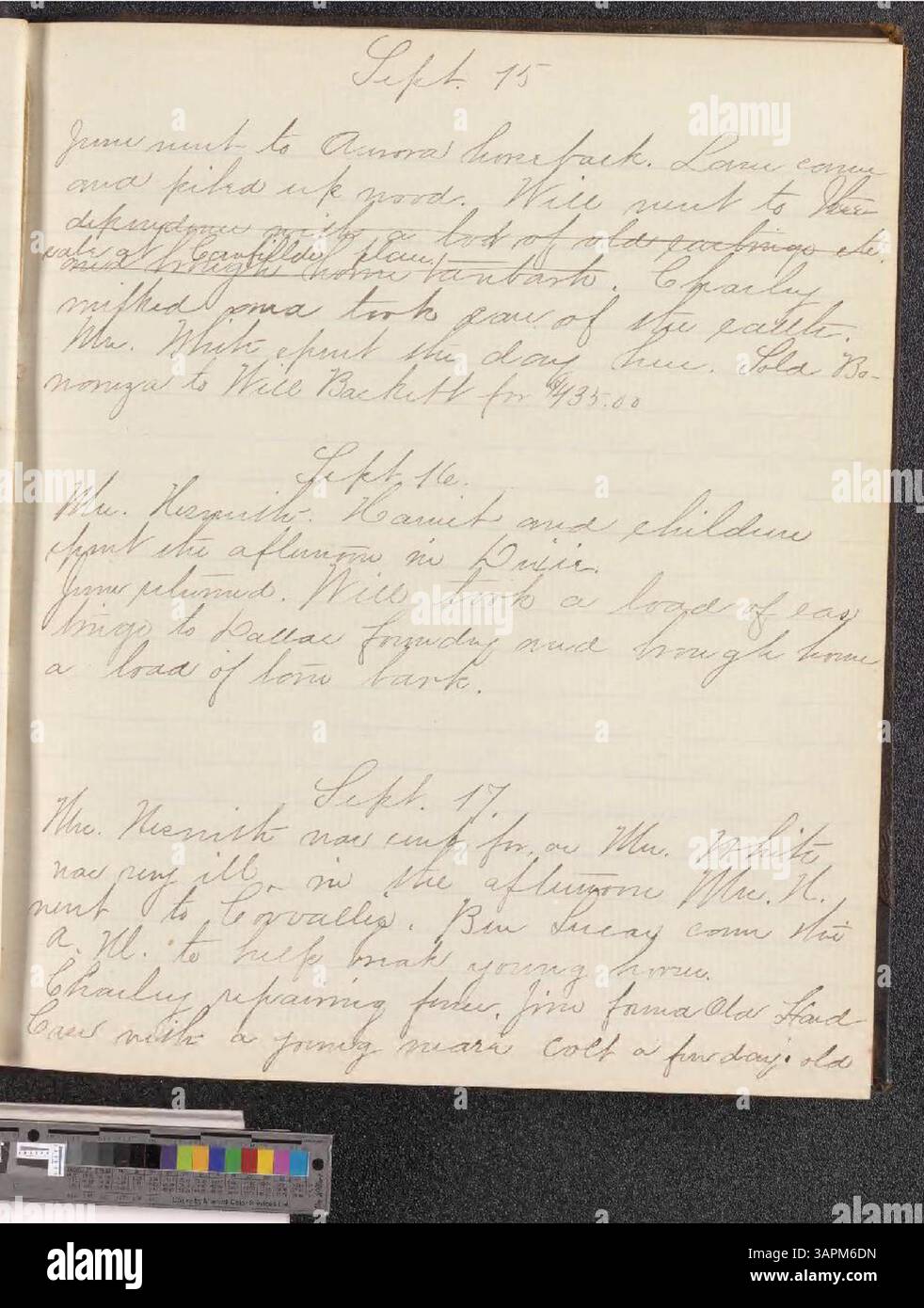 Harriet Nesmith McArthur's diary, handwritten and bound, records personal accounts from June 22 ...