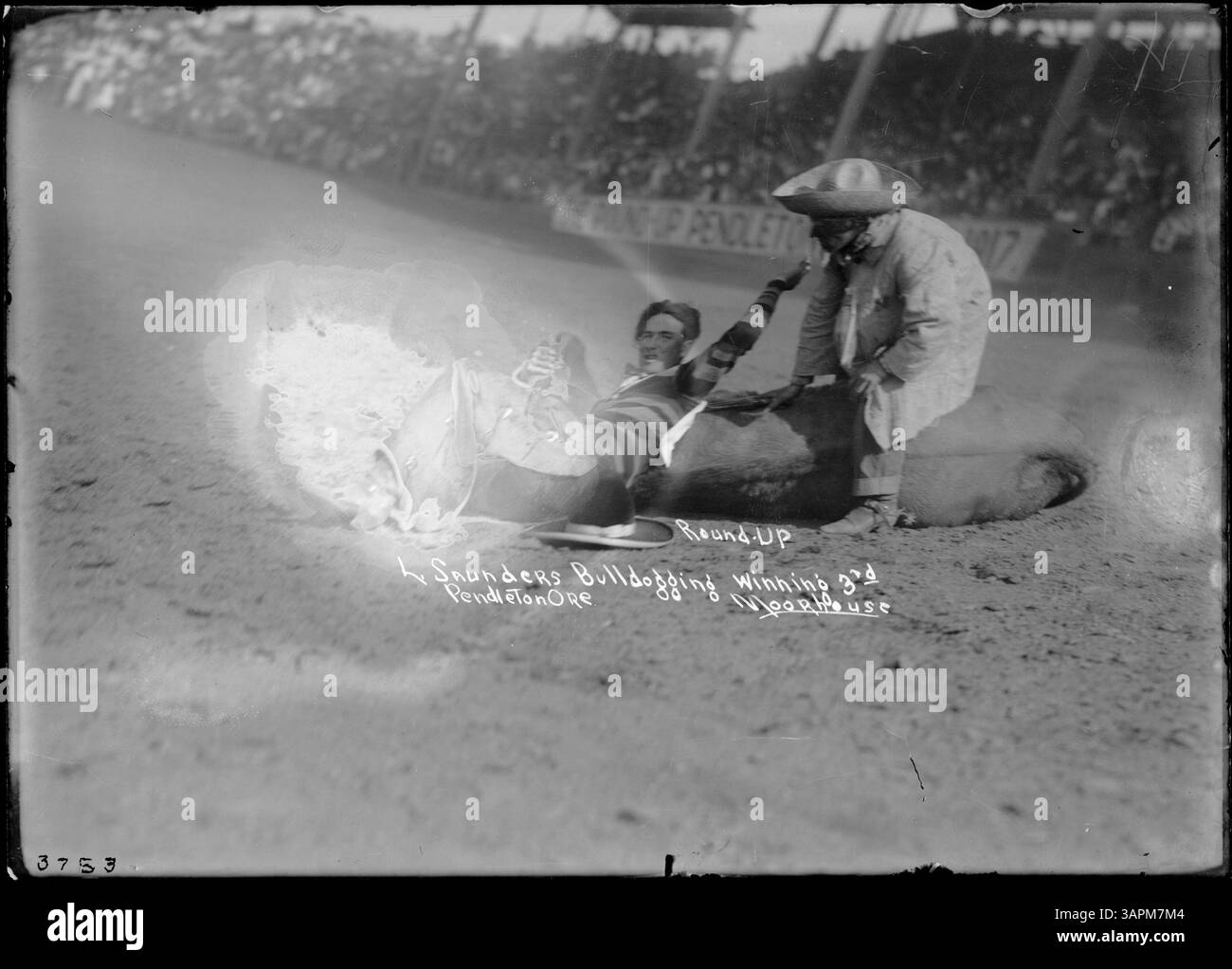 A photograph of L. Saunders bulldogging, a rodeo event. The image ...