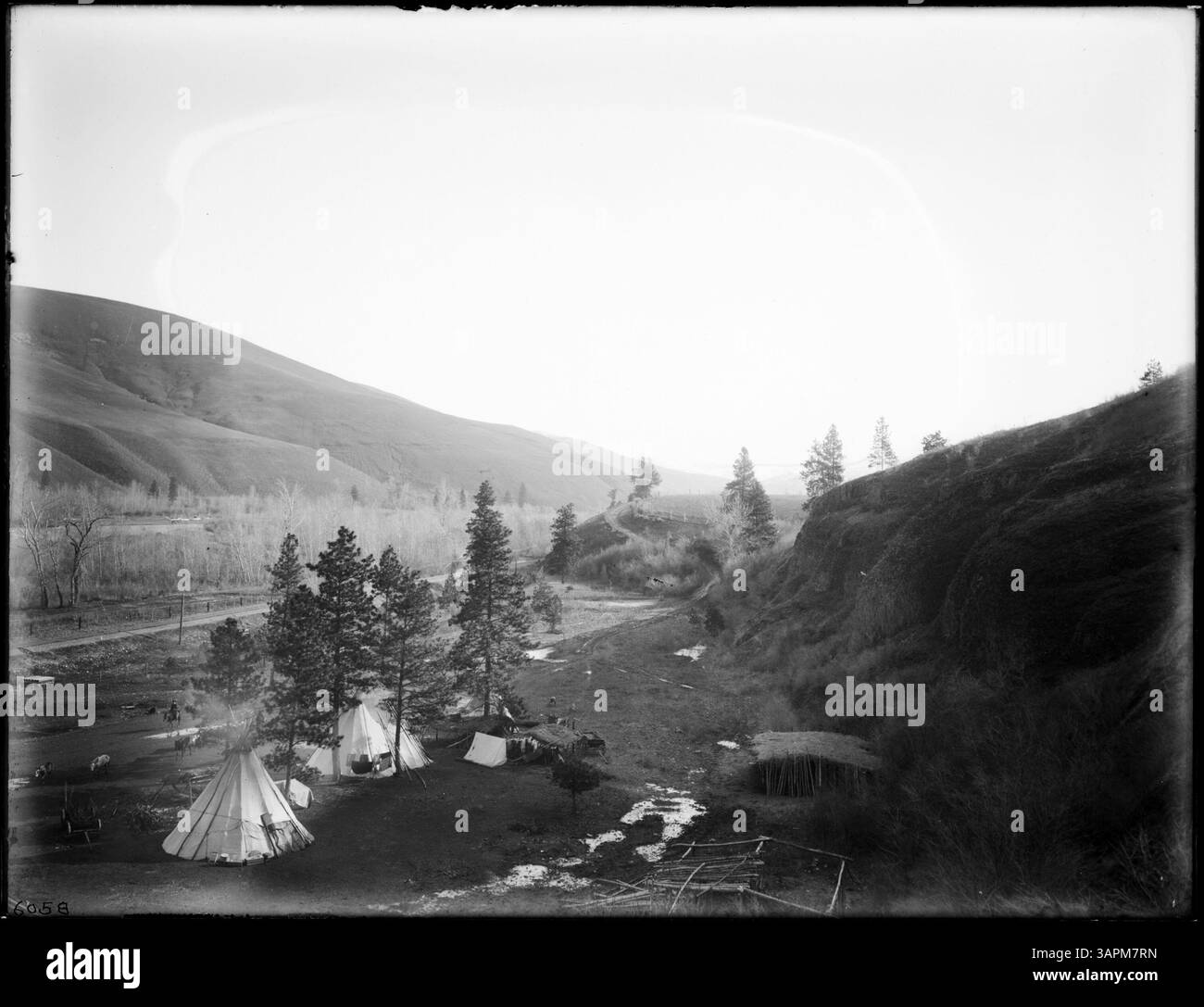 This photograph shows camps on the Umatilla Indian Reservation. It ...