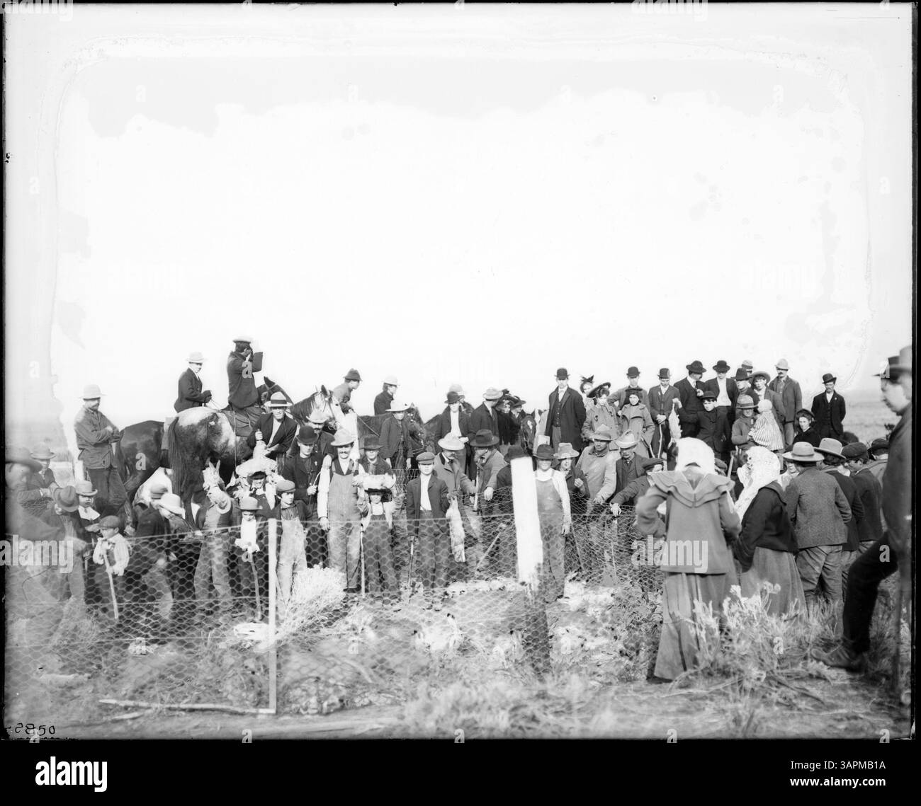 The photograph depicts the end of a rabbit drive on Blalock Island. The ...