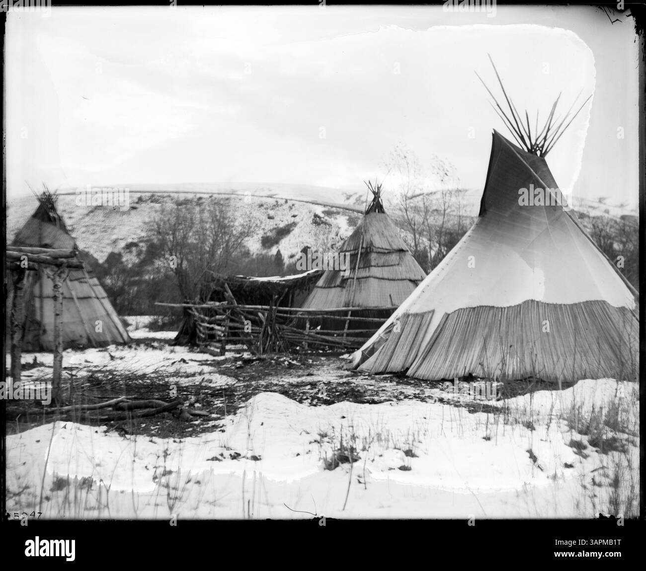 Photograph by Lee Moorhouse showing camps on the Umatilla Indian ...
