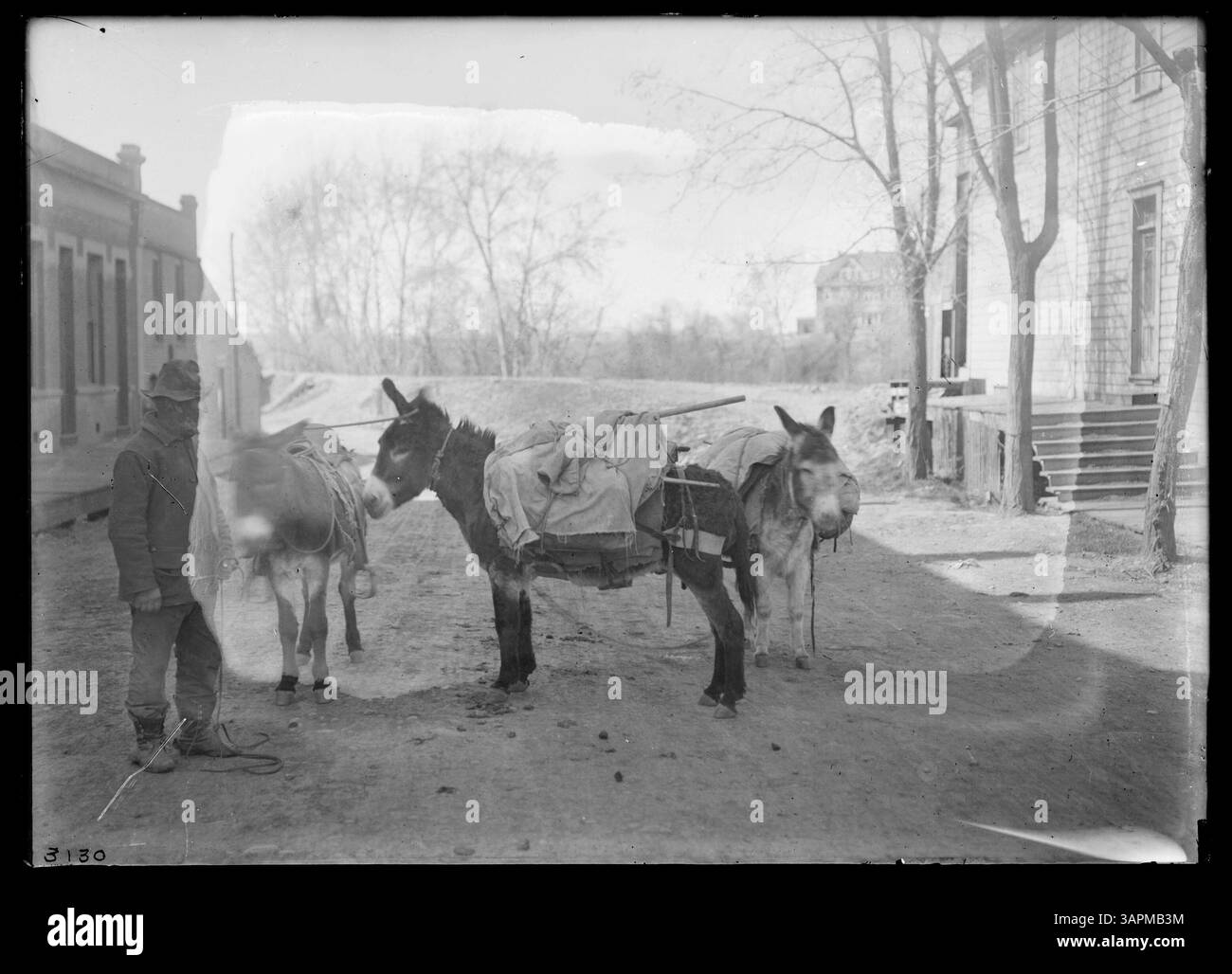 This image by Lee Moorhouse shows pack horses and mules used for ...